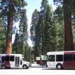 Sequoia Shuttle Blog - Sequoia Shuttle