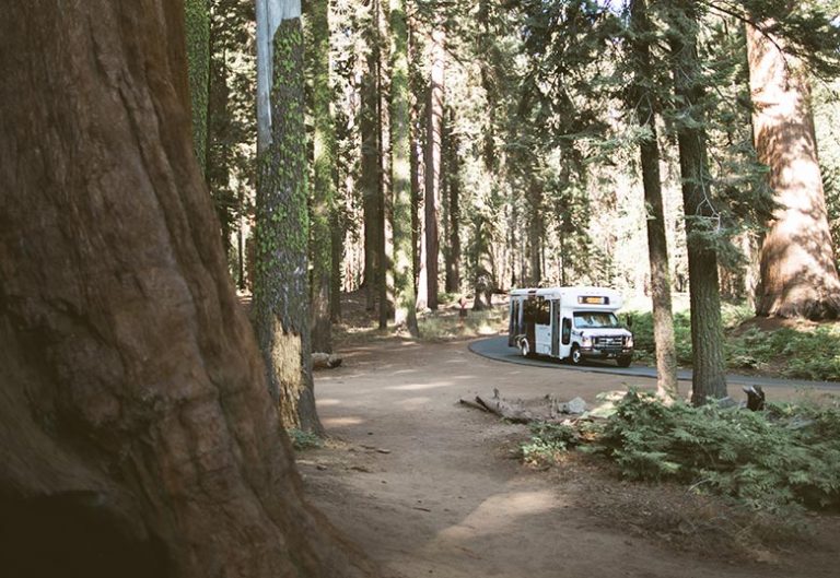 Sequoia Shuttle Fresno to Sequoia National Park - Sequoia Shuttle